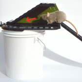 Bucket Lid Trap by Vulcan – Multi-Catch, Humane or Lethal Rodent Trap ...