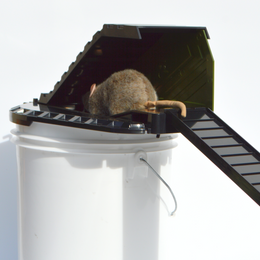 Bucket Lid Trap by Vulcan – Multi-Catch, Humane or Lethal Rodent Trap ...
