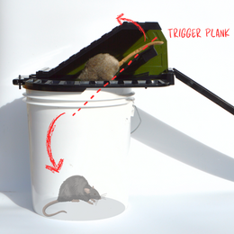 Bucket Lid Trap by Vulcan – Multi-Catch, Humane or Lethal Rodent Trap ...